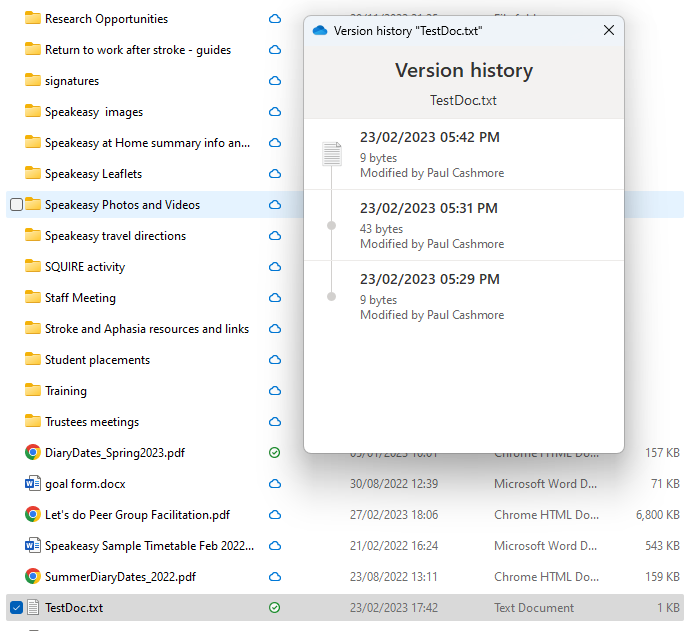 Accessing the Version History of a Microsoft Teams File – Speakeasy